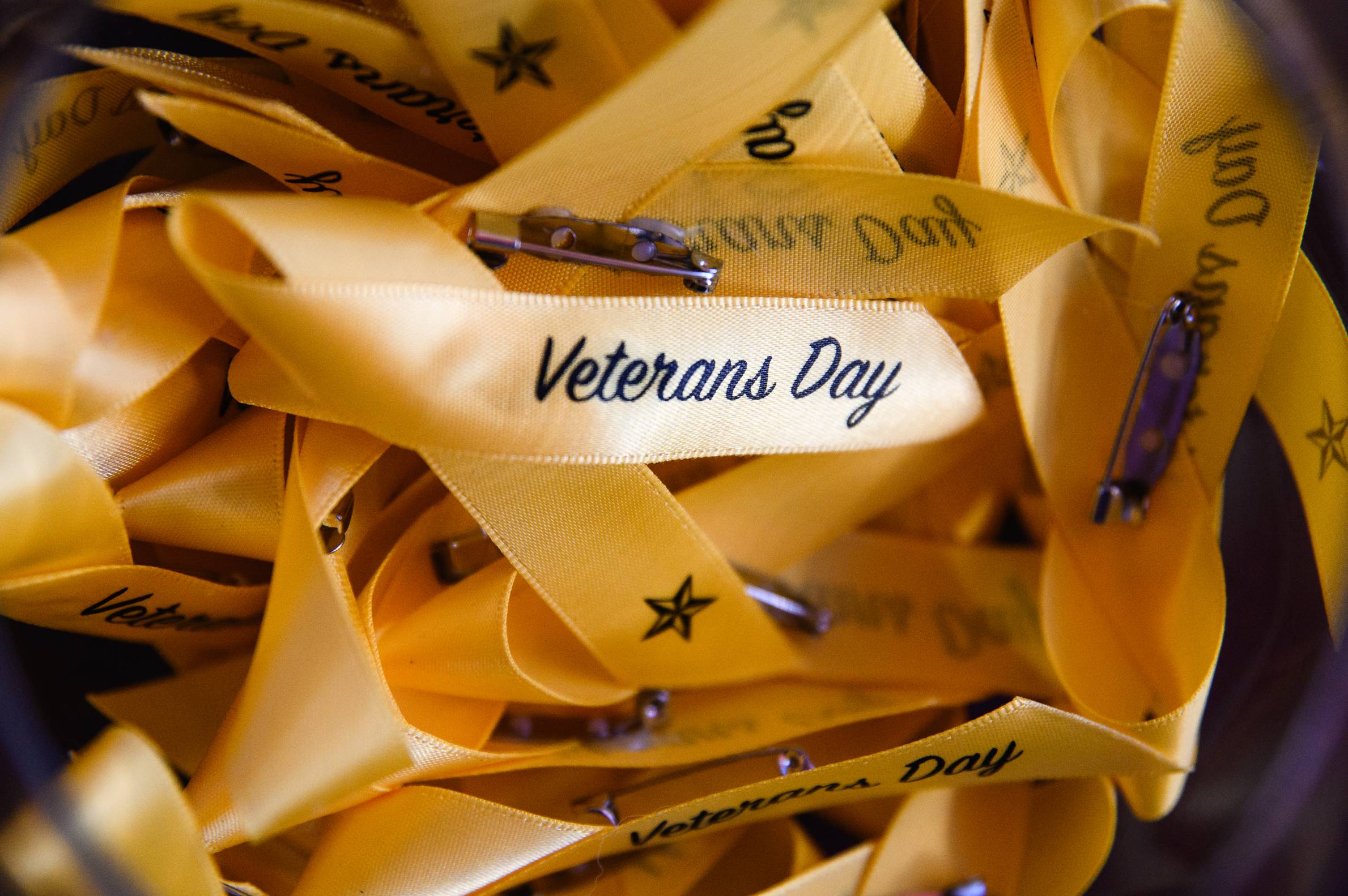 Veterans Day - Honoring All Who Served : Veterans and Military ...