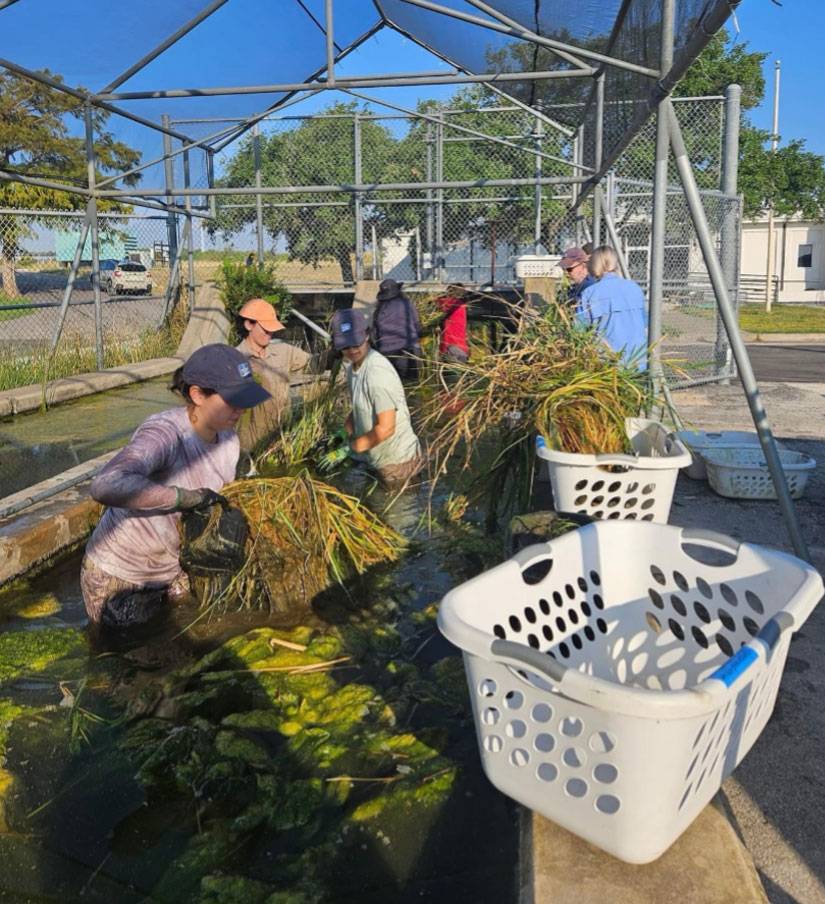 Ecological Research Group : The Meadows Center for Water and the ...