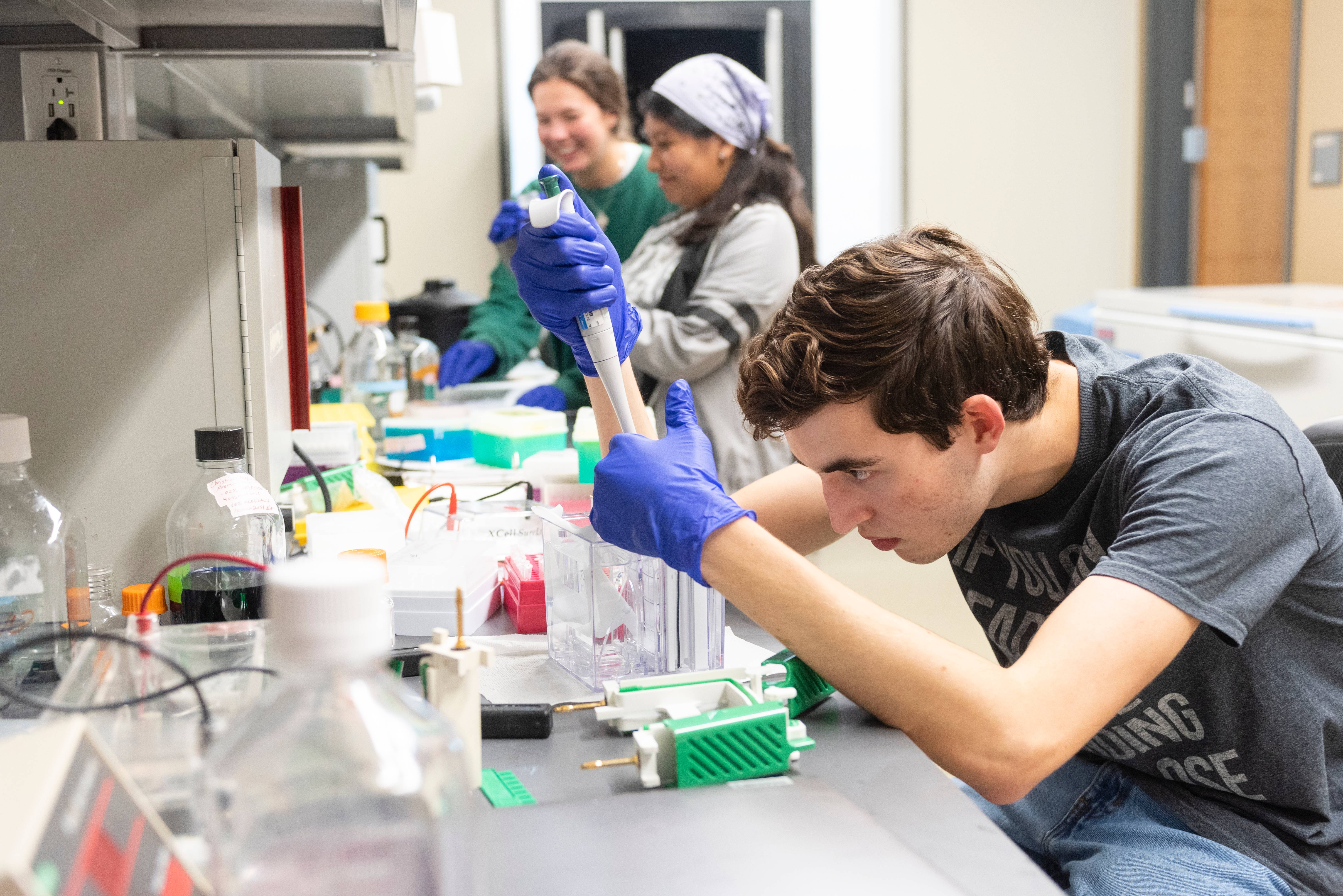 Microbiology and Molecular Genetics : Major Maps : Texas State University