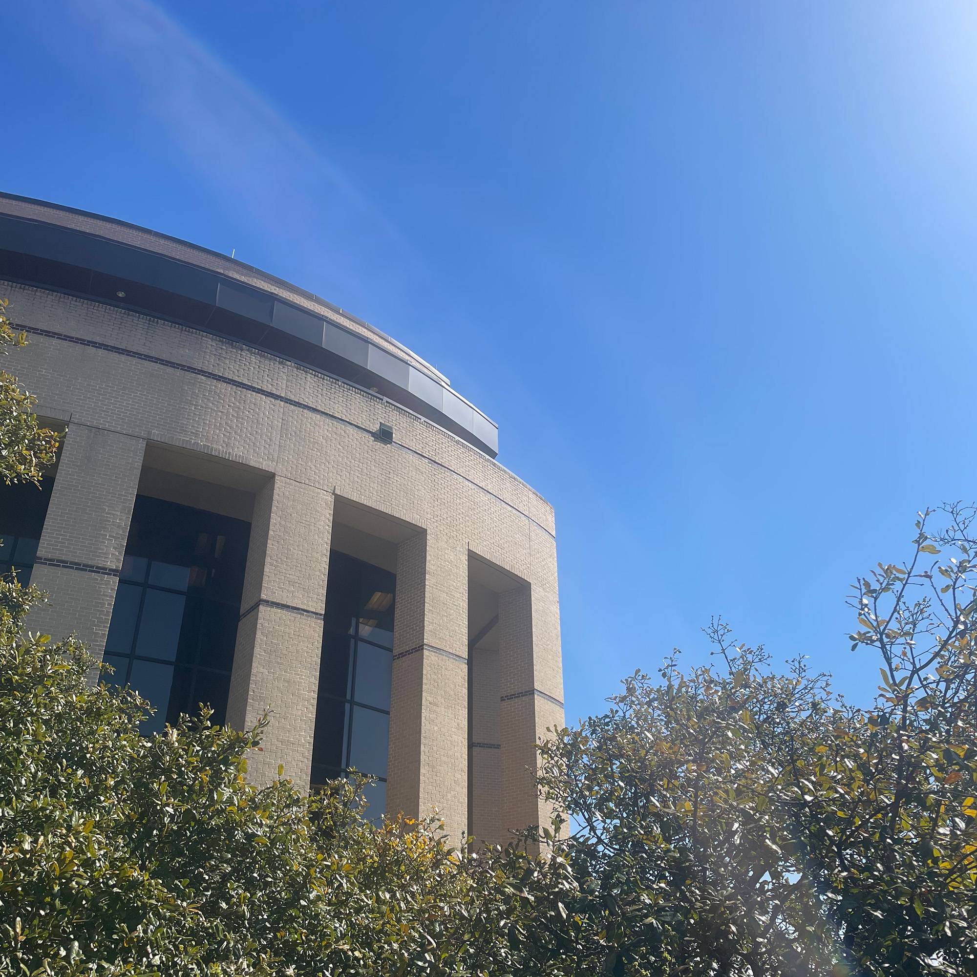 Instagram Links : McCoy College of Business : Texas State University