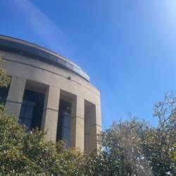 Instagram Links : McCoy College of Business : Texas State University