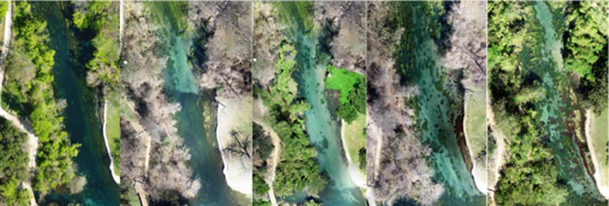 Edwards Aquifer Habitat Conservation Plan: San Marcos Aquatic Vegetation Restoration : The ...