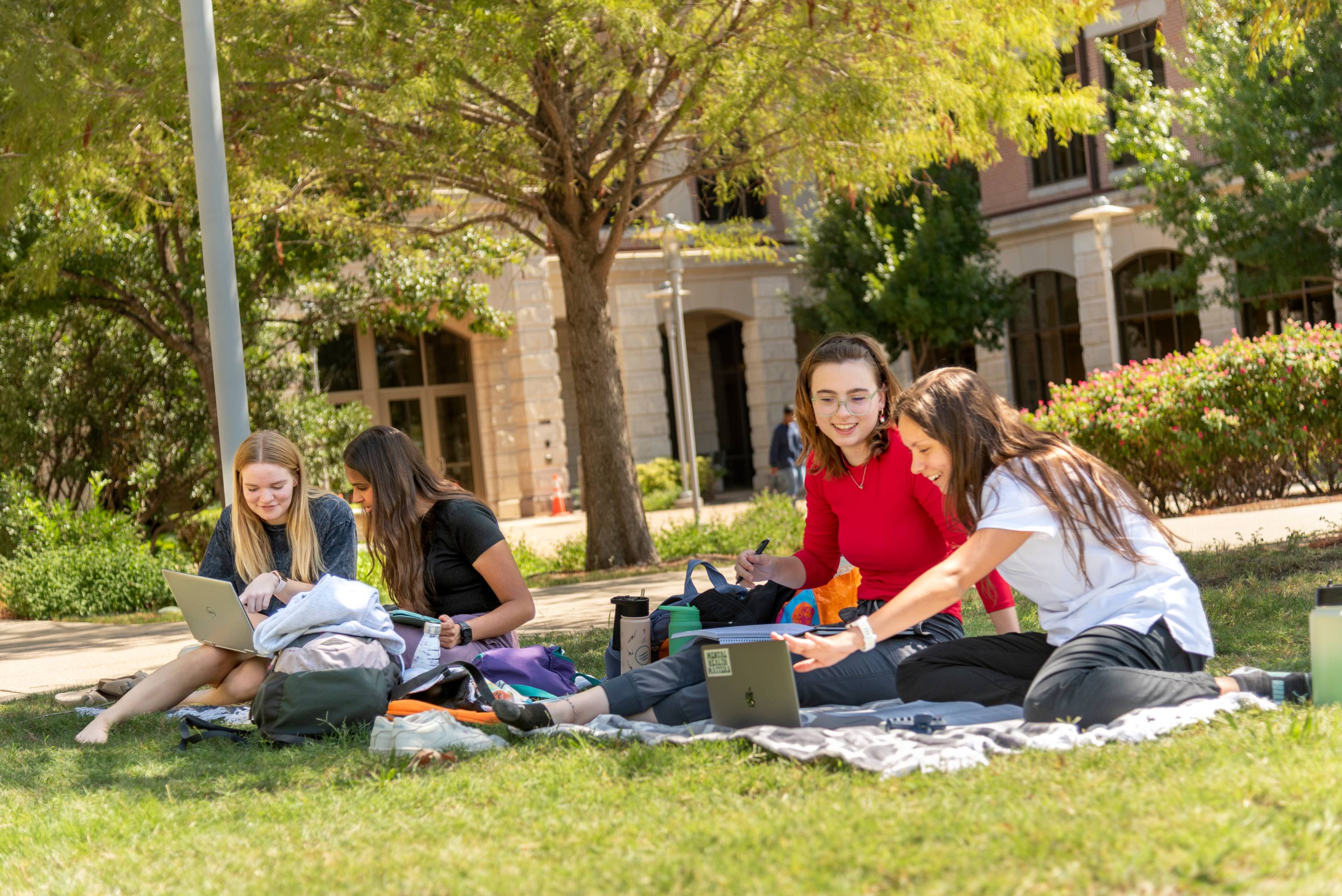 Undergraduate Programs : Texas State University Round Rock Campus ...