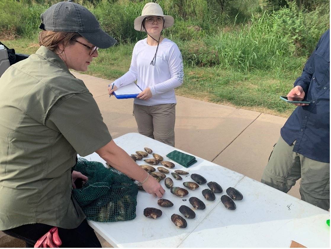 Mussel Habitat Suitability Study : The Meadows Center for Water and the ...