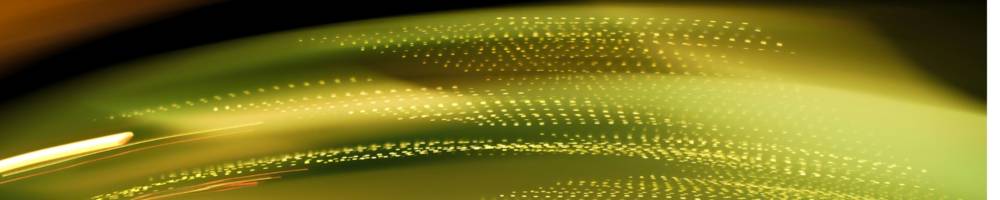 Global Career Accelerator : McCoy College of Business : Texas State ...