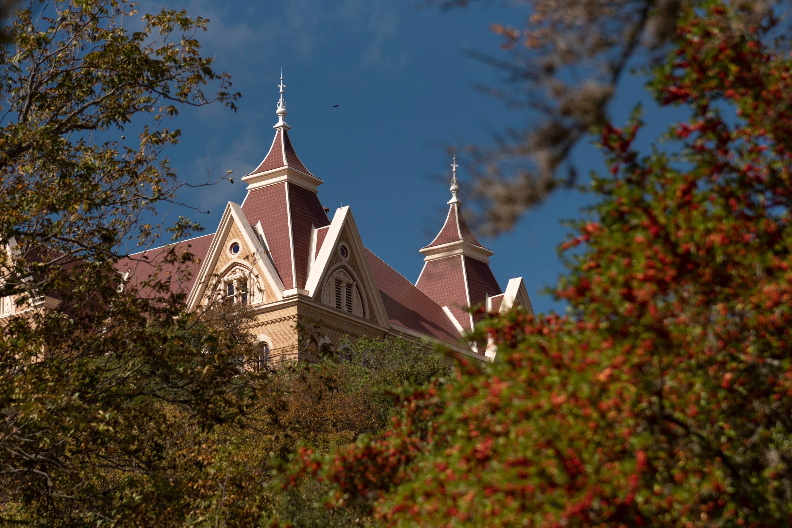Graduate Studies : College of Applied Arts : Texas State University