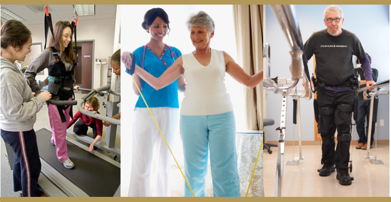 Exercise & Sports Science Undergraduate Programs : Department of Health ...