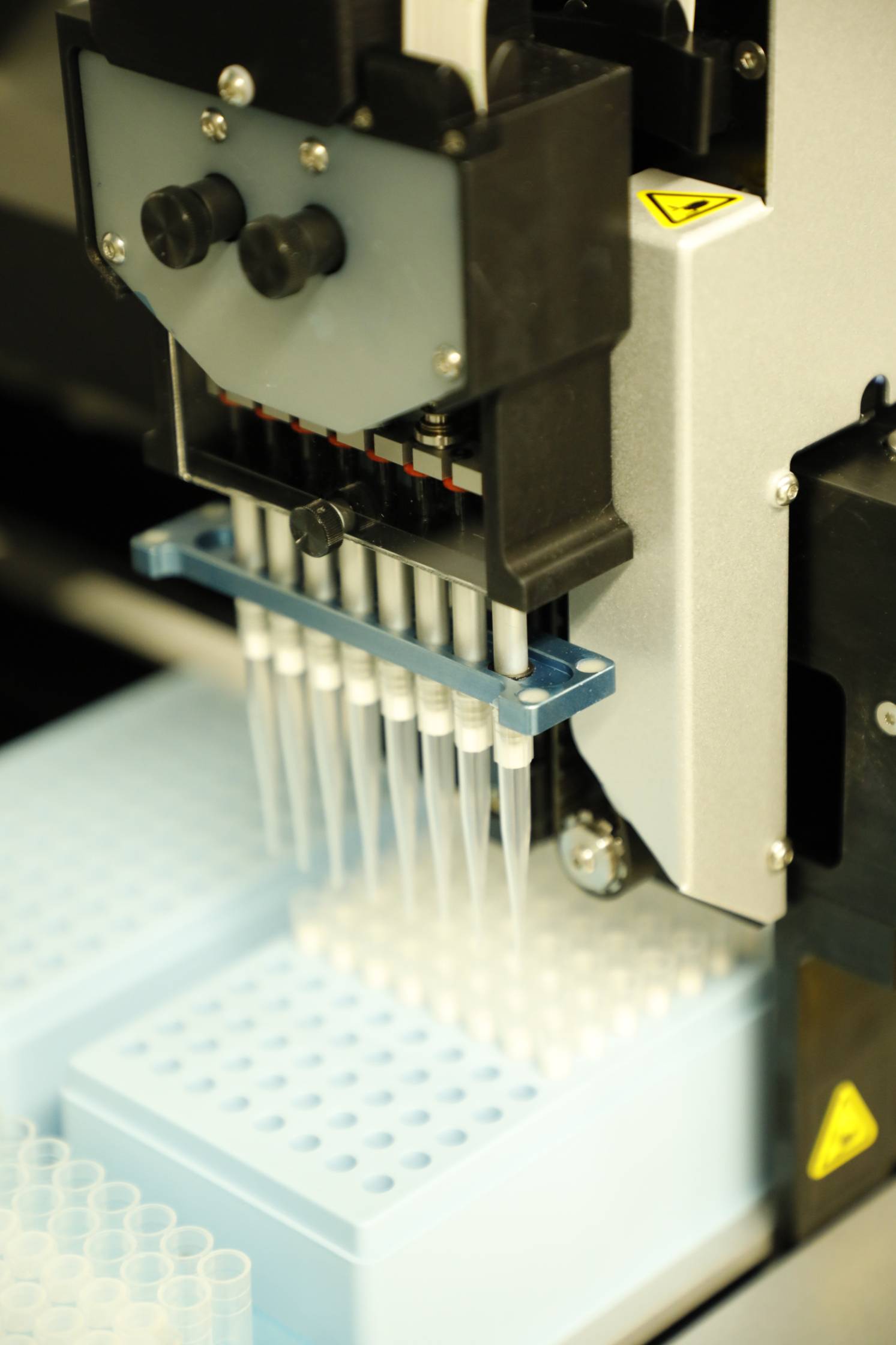 Innovation, Commercialization, and Engagement : Division of Research : Texas State University