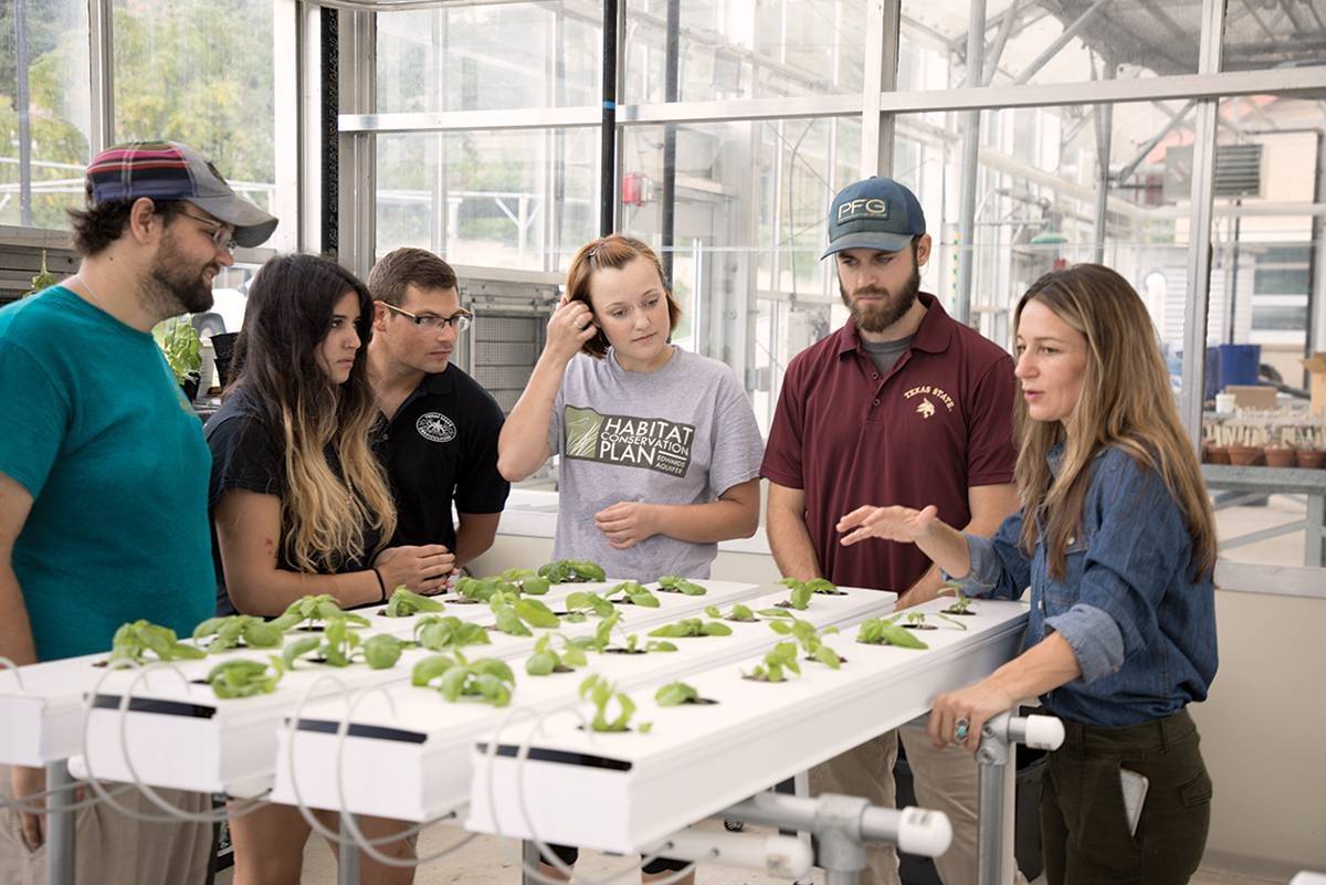 CoSE Graduate Programs : College of Science and Engineering (CoSE ...