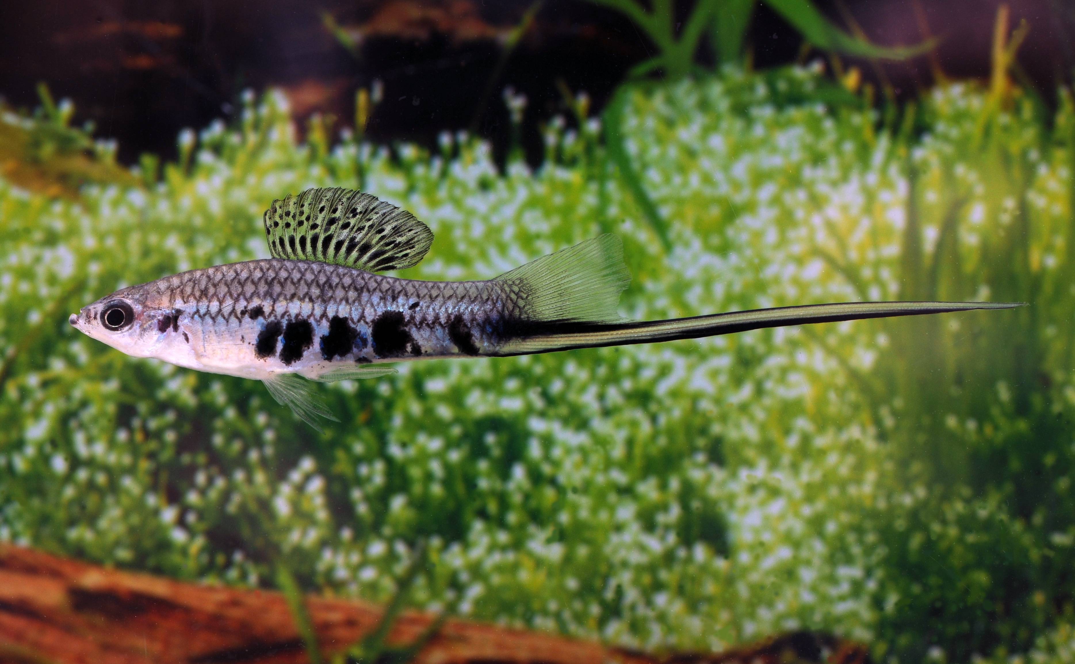 Newsroom : Texas State University