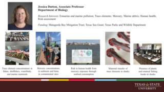 Jessica Dutton : College of Science and Engineering (CoSE) : Texas ...