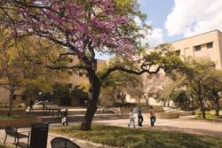 Computer Science (M.A./M.S.) : The Graduate College : Texas State ...