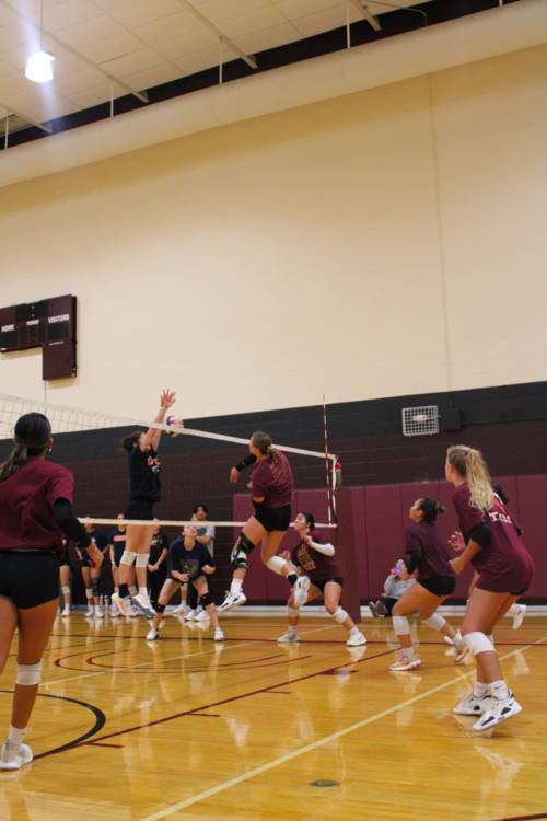 Sport Clubs : Campus Recreation : Texas State University