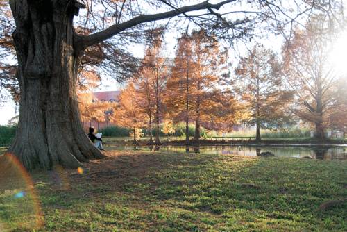 Population and Conservation Biology (M.S.) : The Graduate College ...