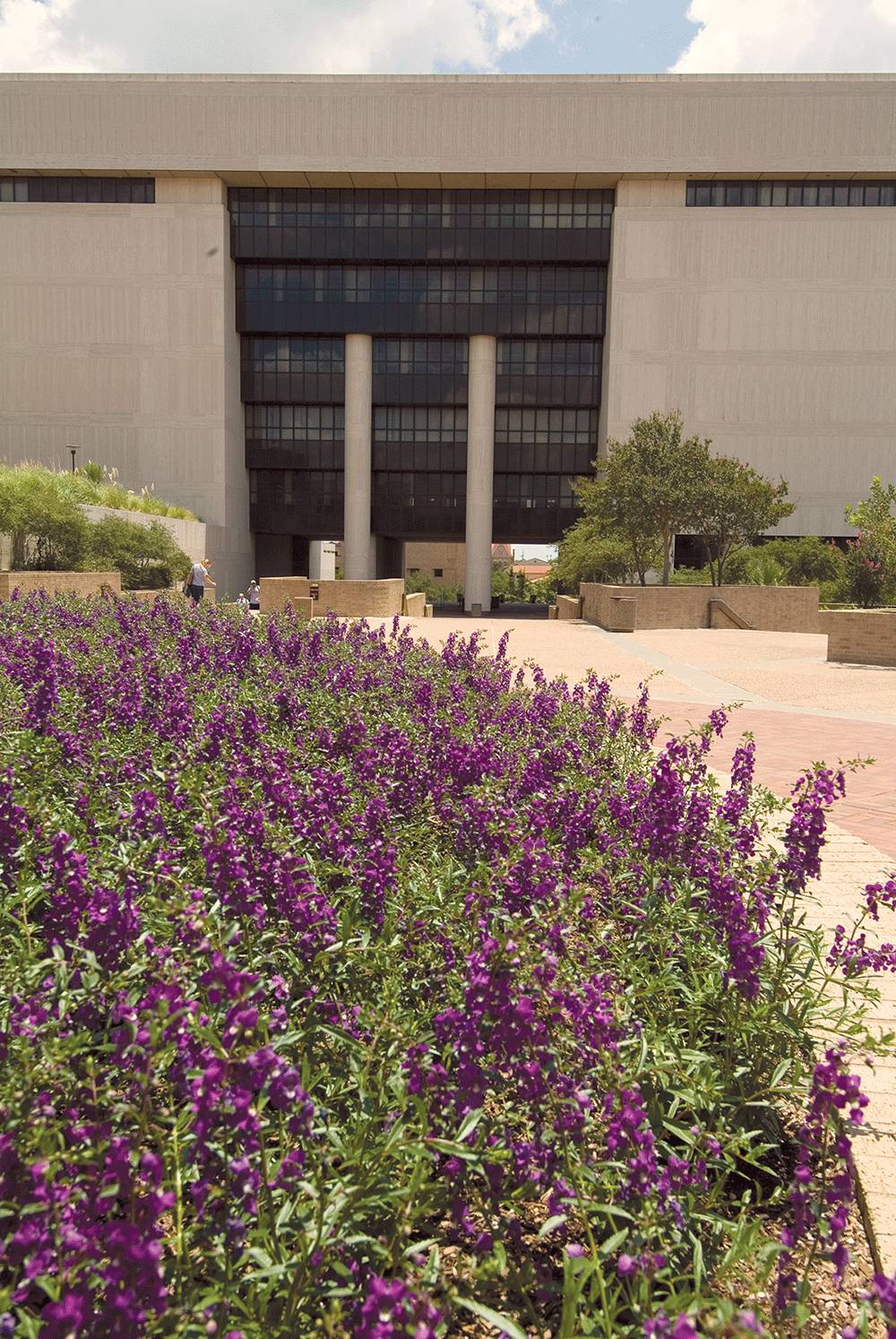 Wildlife Ecology (M.S.) : The Graduate College : Texas State University