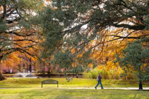 Disability Services : Texas State University