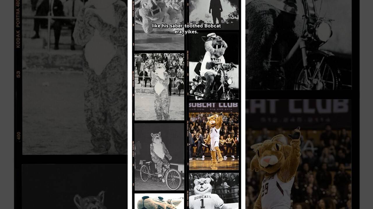 Once a Bobcat, Always a Bobcat : Hillviews Magazine : Texas State ...