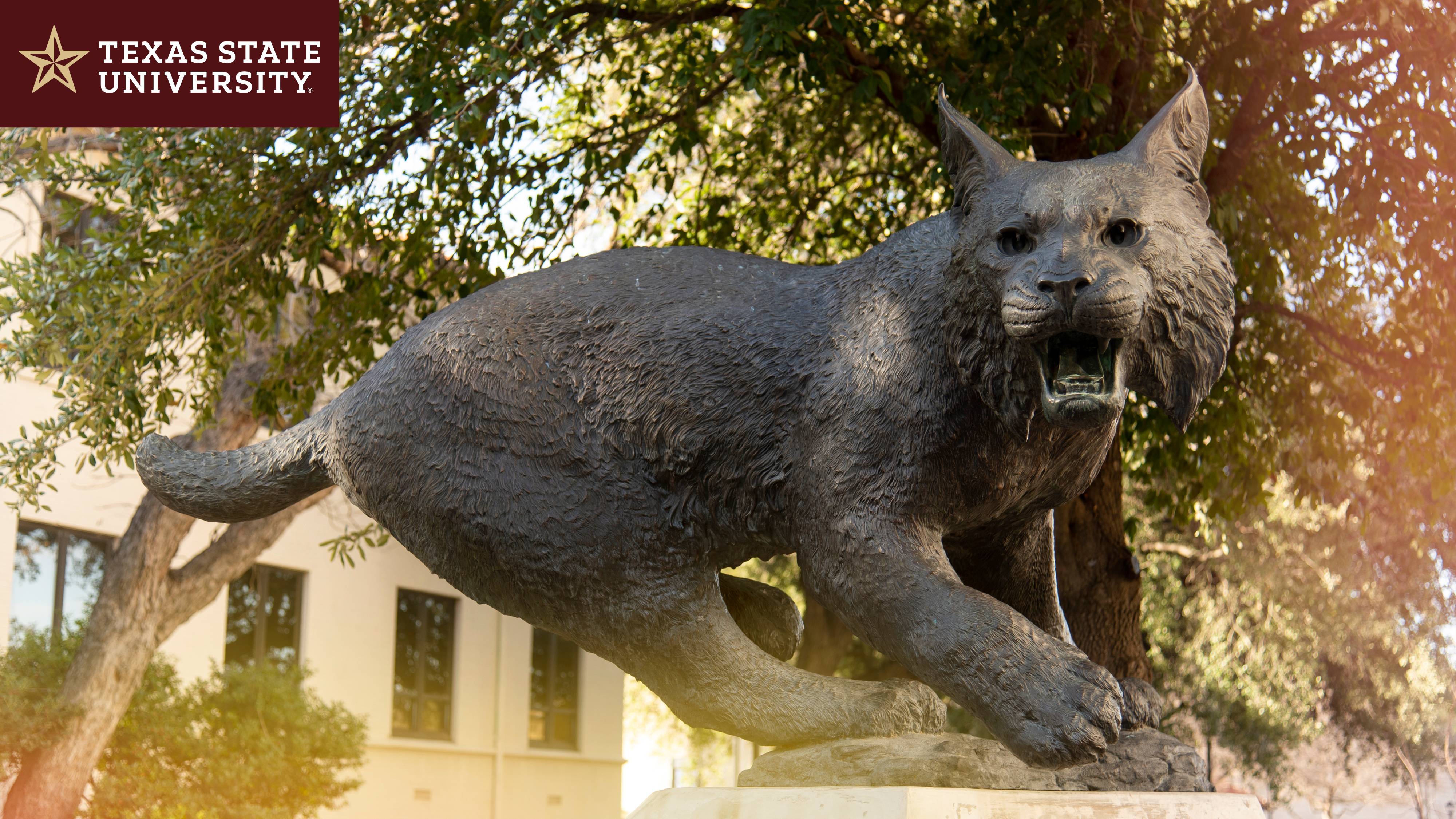 Zoom and Teams Backgrounds : Brand Guidelines : Texas State University