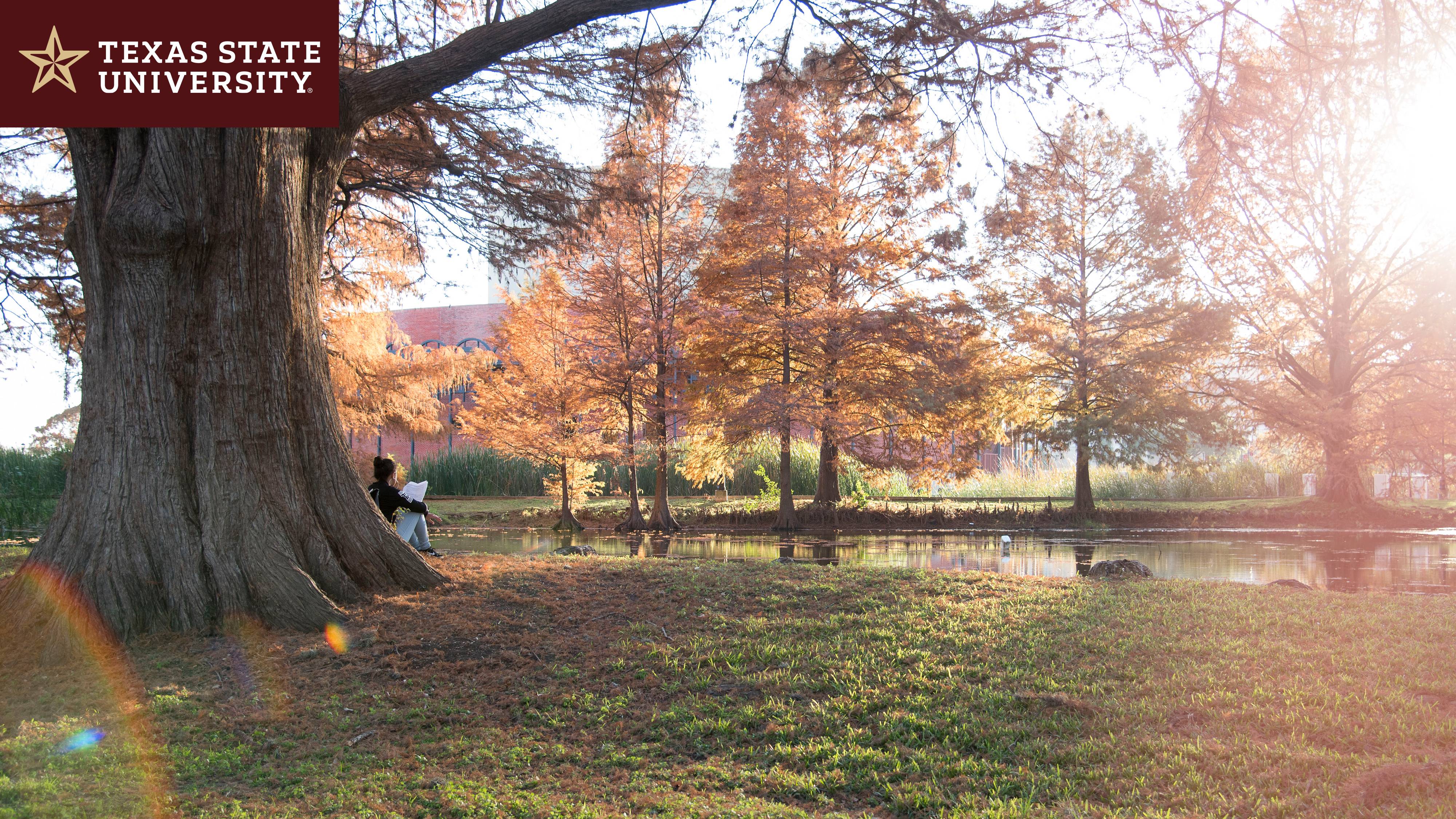 Zoom and Teams Backgrounds : Brand Guidelines : Texas State University