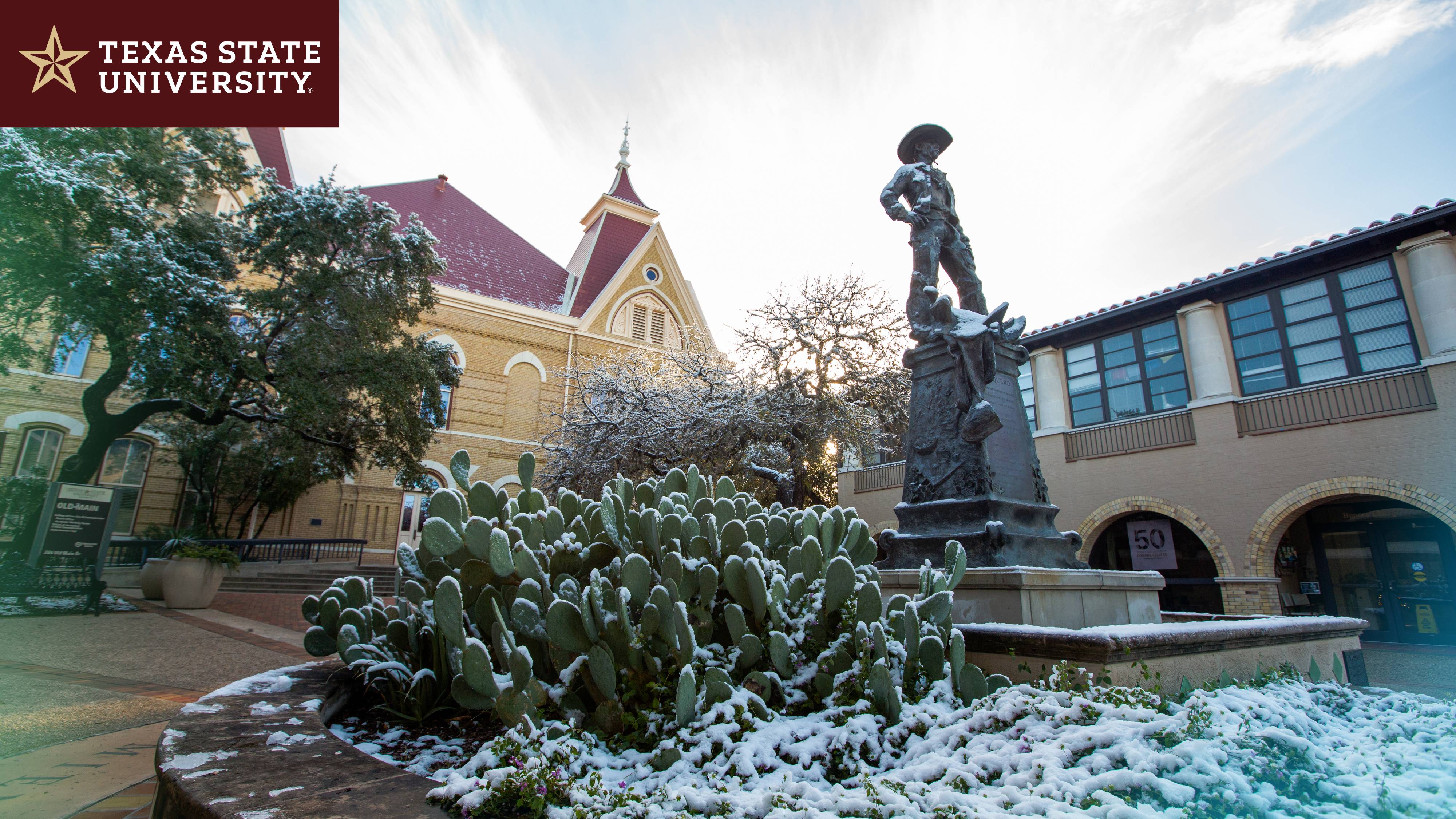 Zoom and Teams Backgrounds : Brand Guidelines : Texas State University