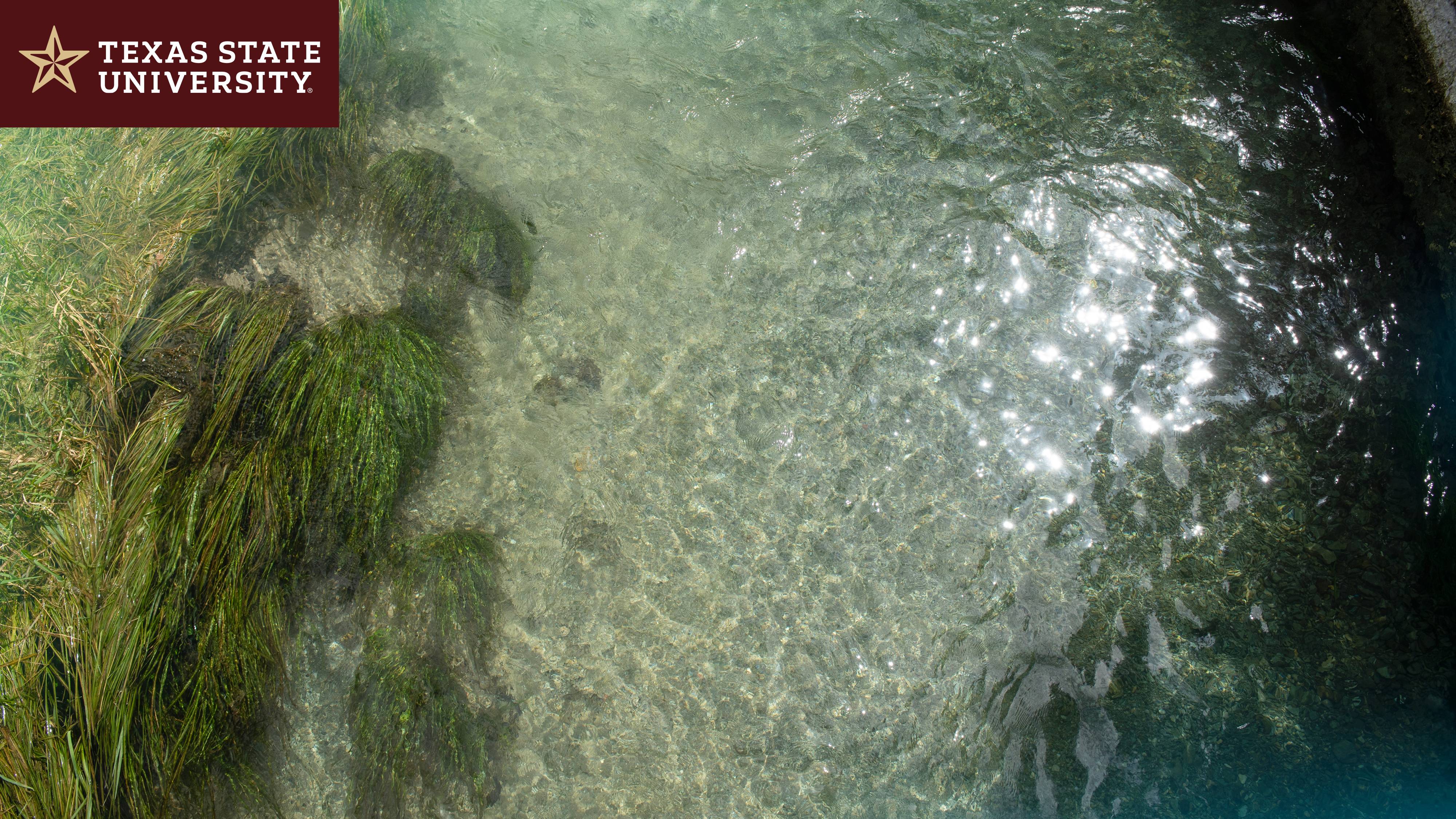 Zoom and Teams Backgrounds : Brand Guidelines : Texas State University