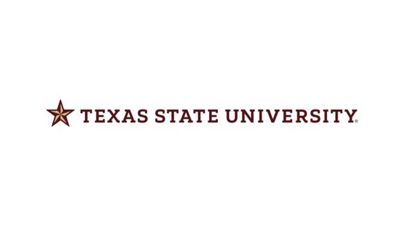 Usage and Guidance : Brand Guidelines : Texas State University
