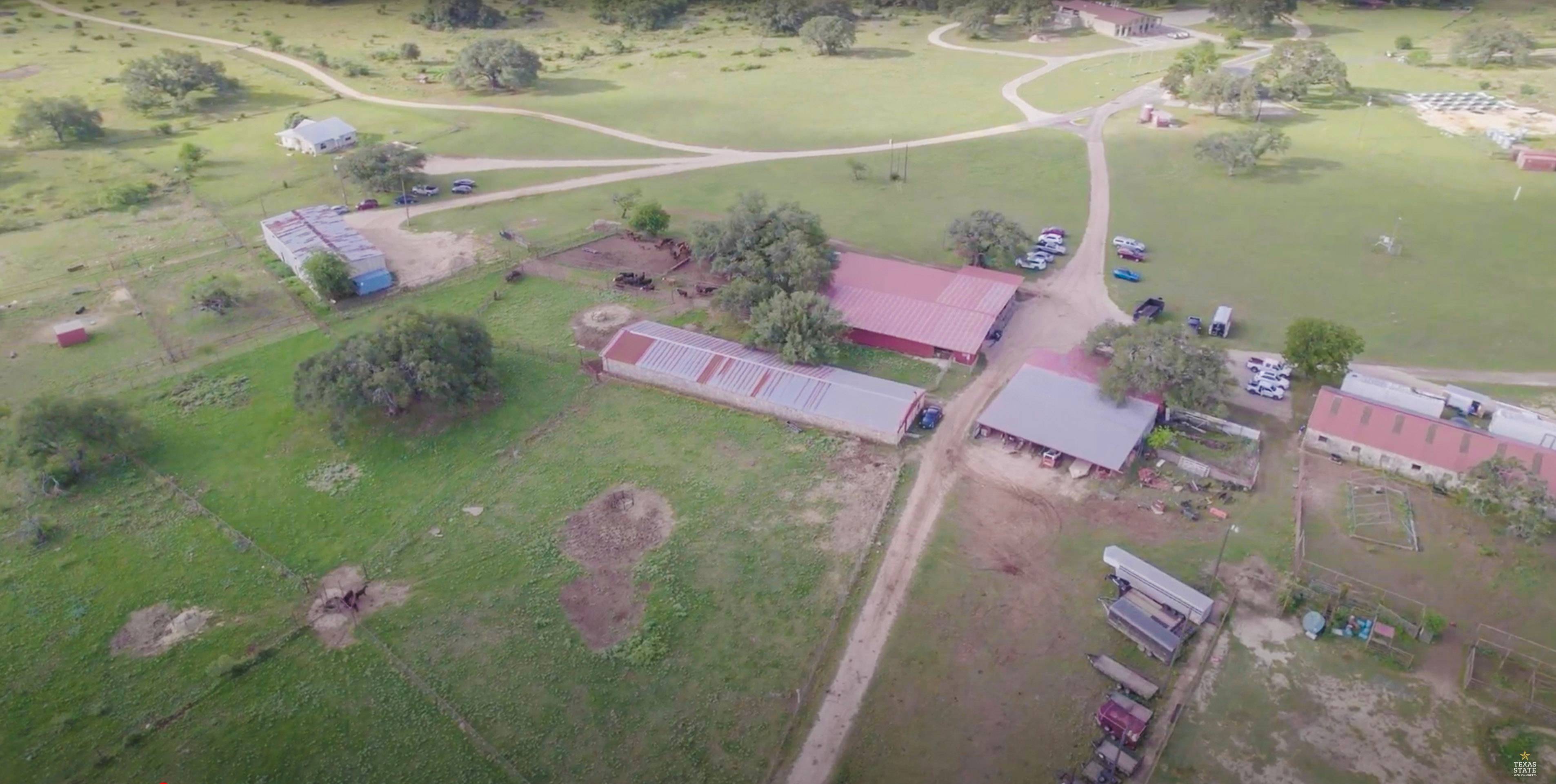 Greener Grazing : Hillviews Magazine : Texas State University