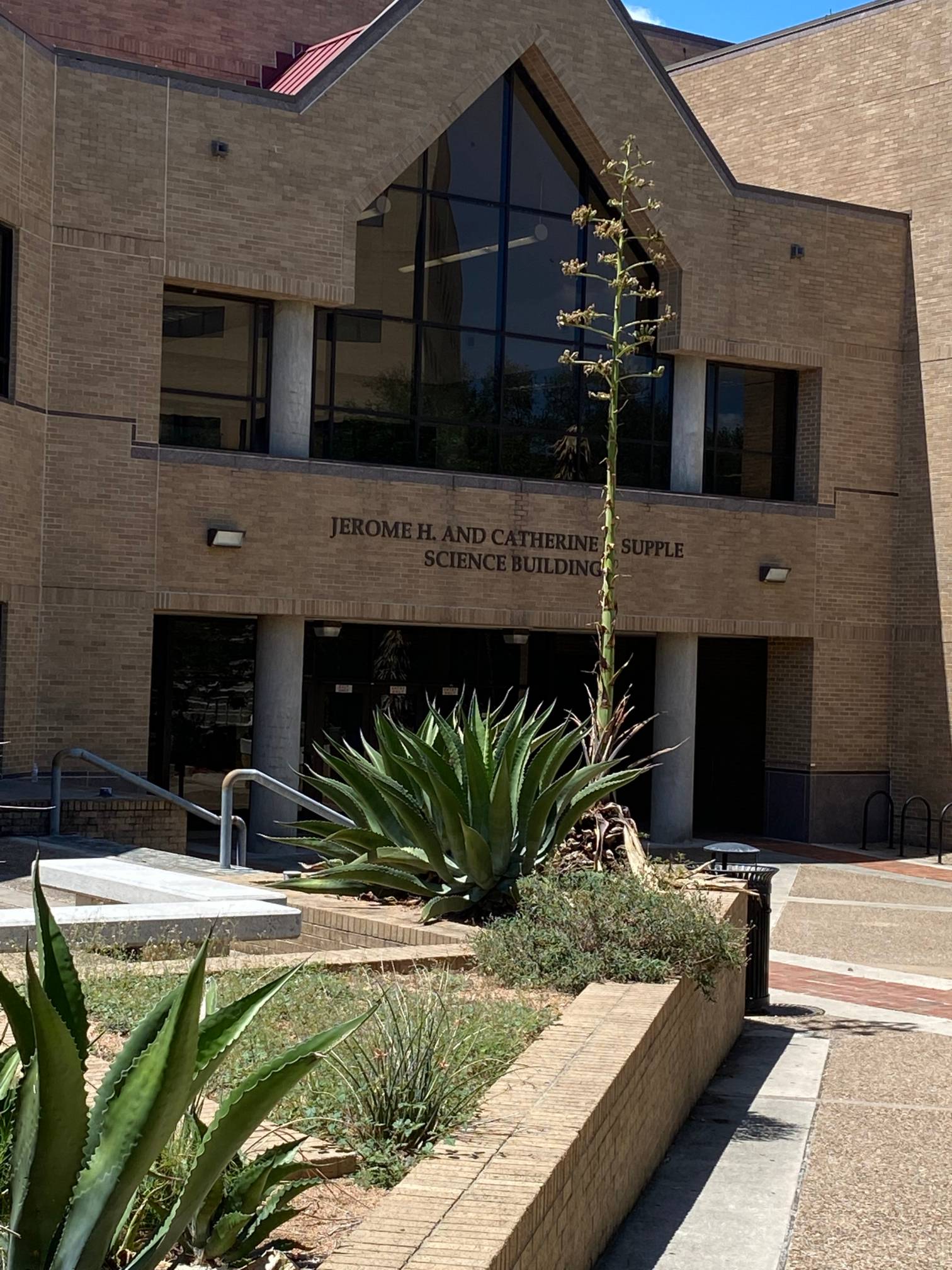 Departments & Schools : College of Science and Engineering (CoSE ...