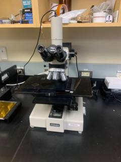 Organic Semiconductor Lab Facilities Physics Texas State : Department ...