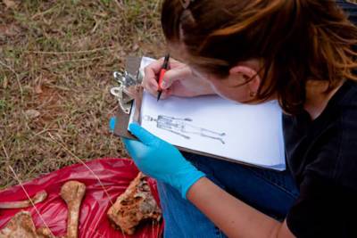 What is Anthropology? : Department of Anthropology : Texas State University